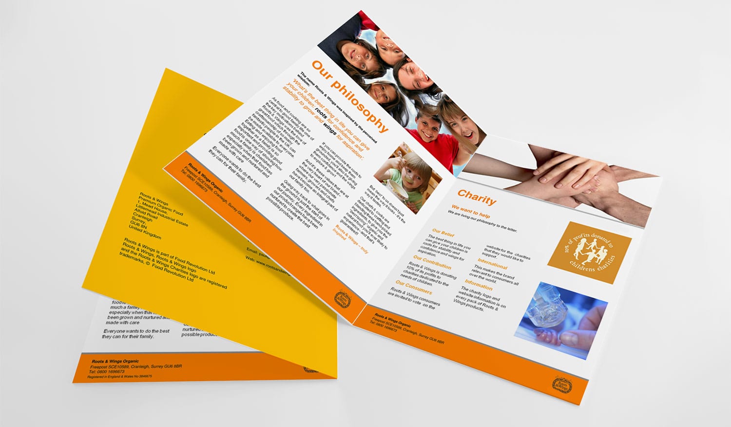 Expert Charity Brochure Designers | rhc creative strategy